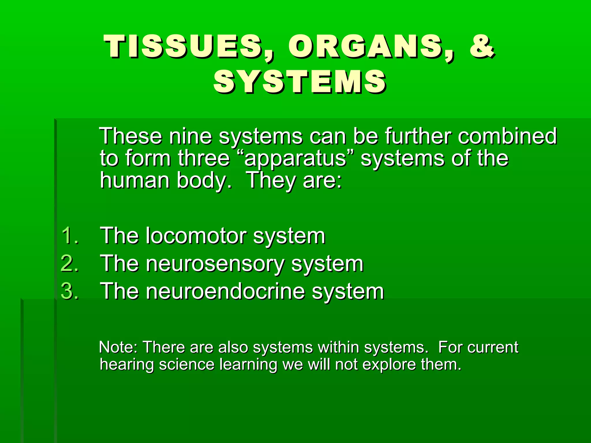 HIS 120 Tissues, Organs, and Systems | PPT