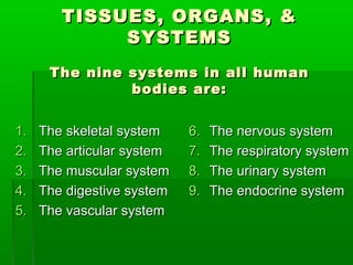 HIS 120 Tissues, Organs, and Systems | PPT