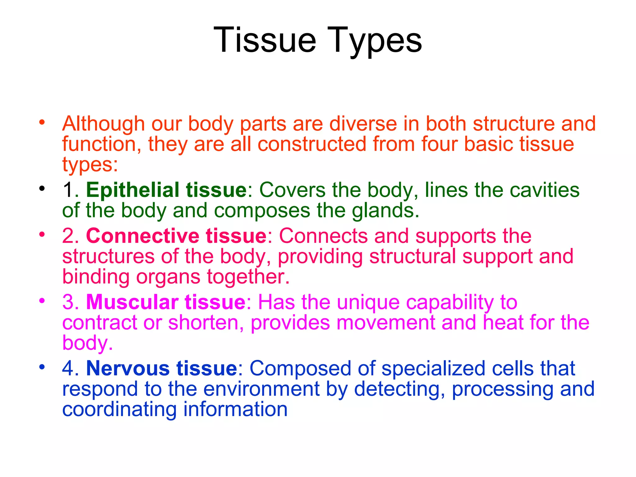 Tissues ppt | PPT