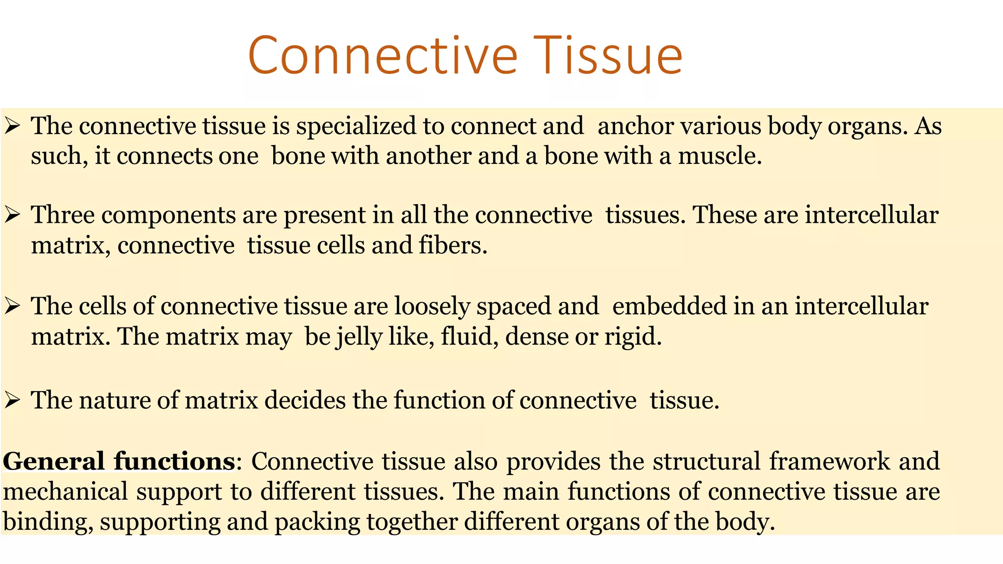 Tissues class 9 | PPTX
