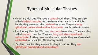 Ppt on tissue of plant and animals...... | PPTX