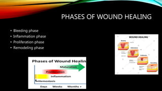 Tissues response to stress steps of wound healing | PPTX