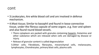 Comprehensive Overview of Human Tissue Types and Functions in Anatomy | PDF
