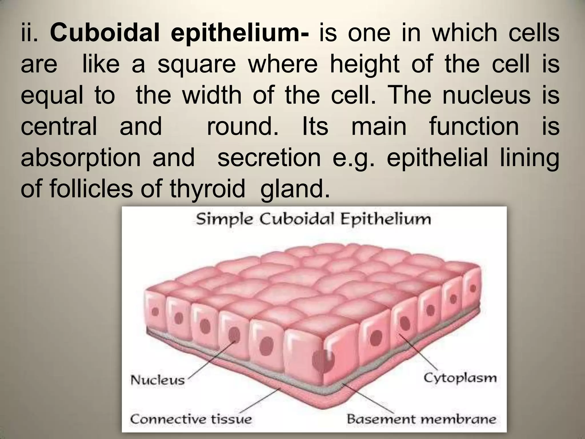 Tissues- types and functions, glands and membranes | PPTX