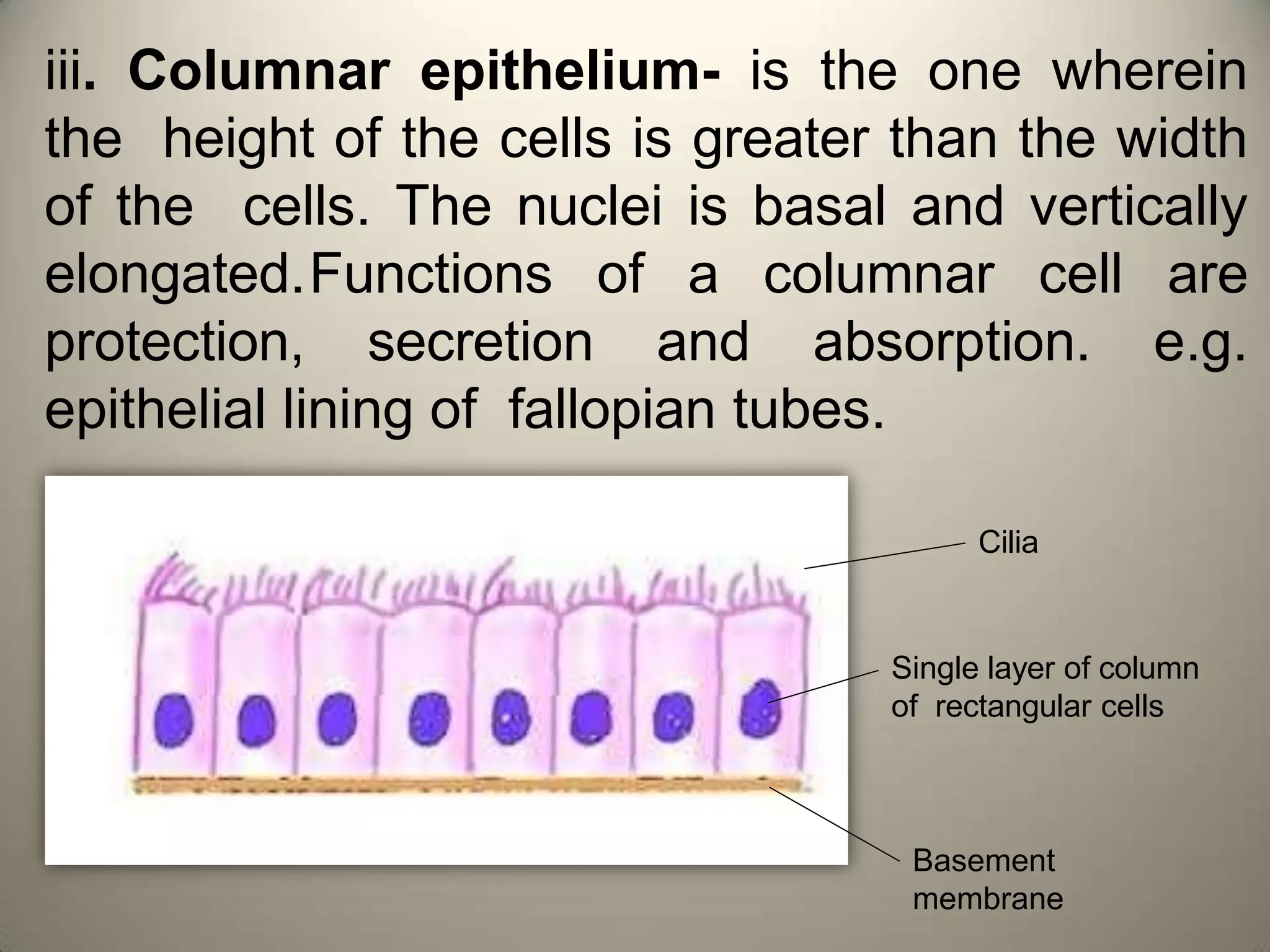 Tissues- types and functions, glands and membranes | PPTX