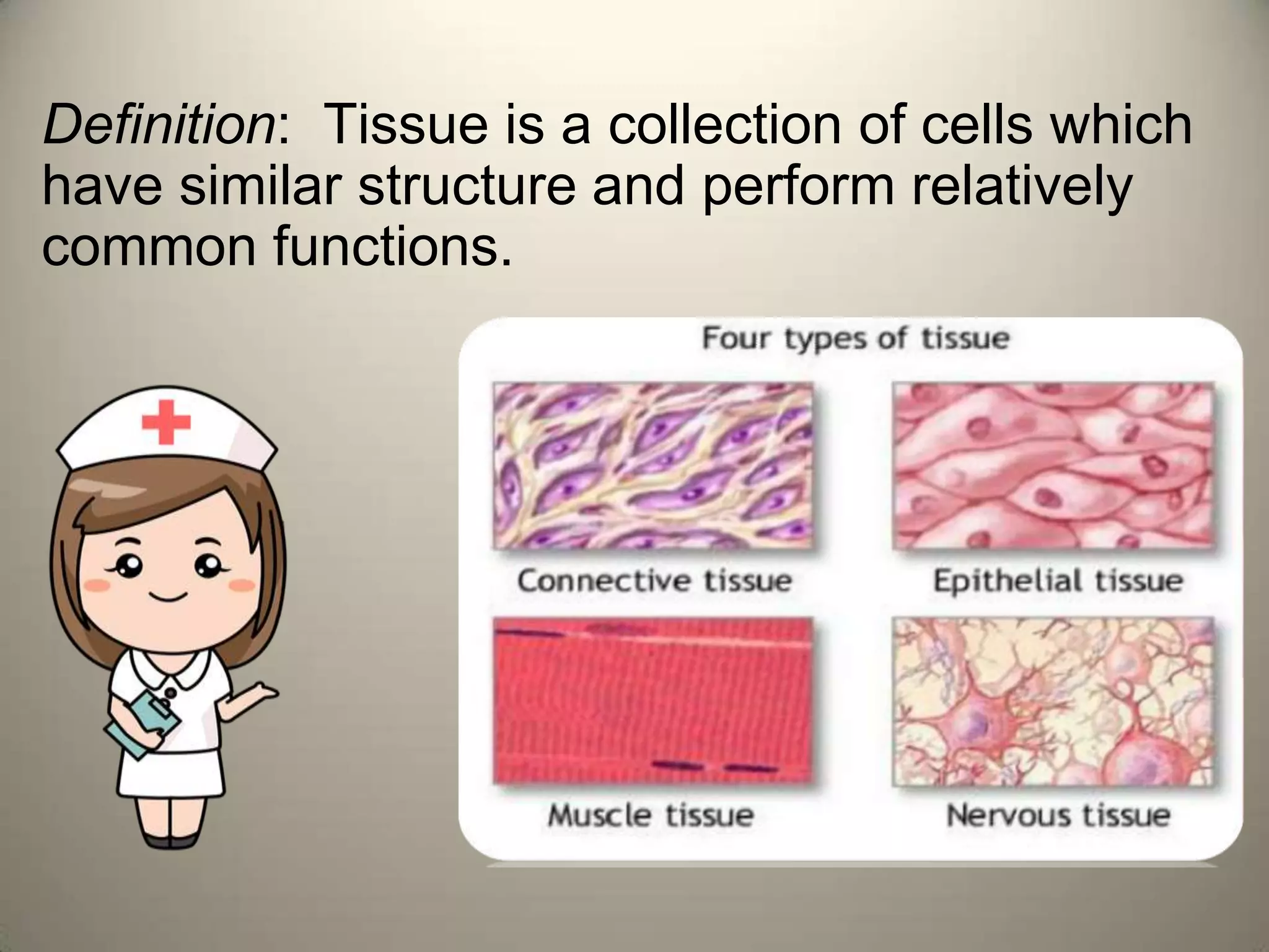 Tissues- types and functions, glands and membranes | PPTX