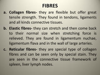 Tissues, types and functions(Anatomy)- Easy explanation | PDF