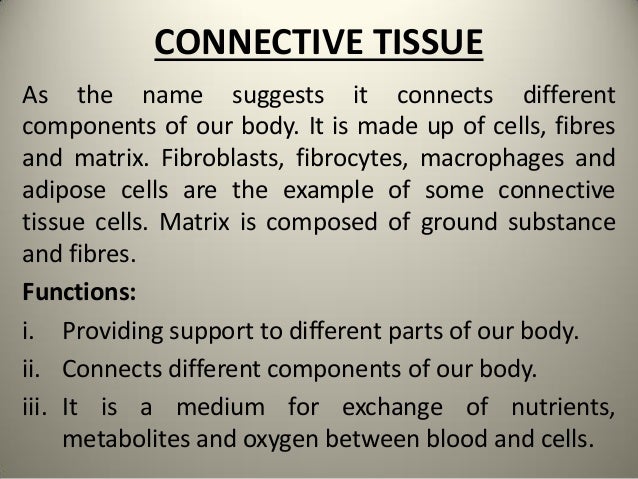 Tissues Types And Functionsanatomy Easy Explanation