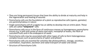 Tissue, tissue types and tissue system | PPT