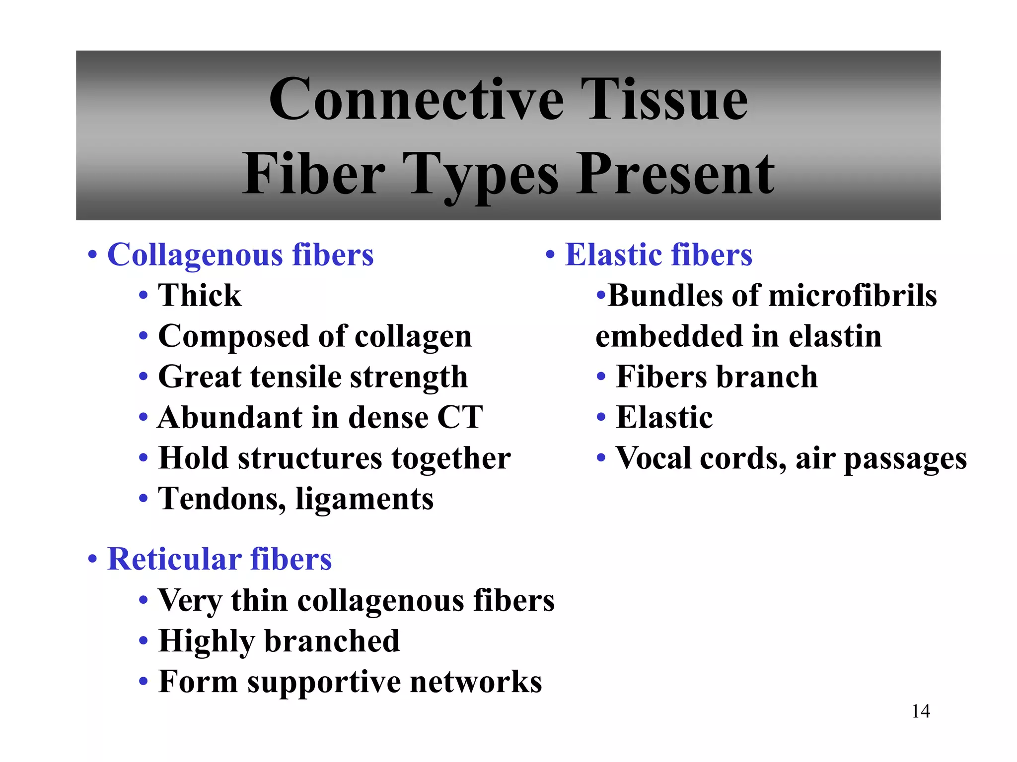 Tissue Types.pptx
