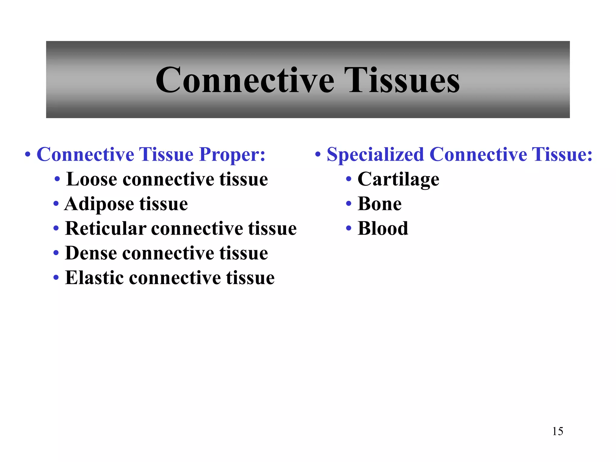 Tissue Types.pptx