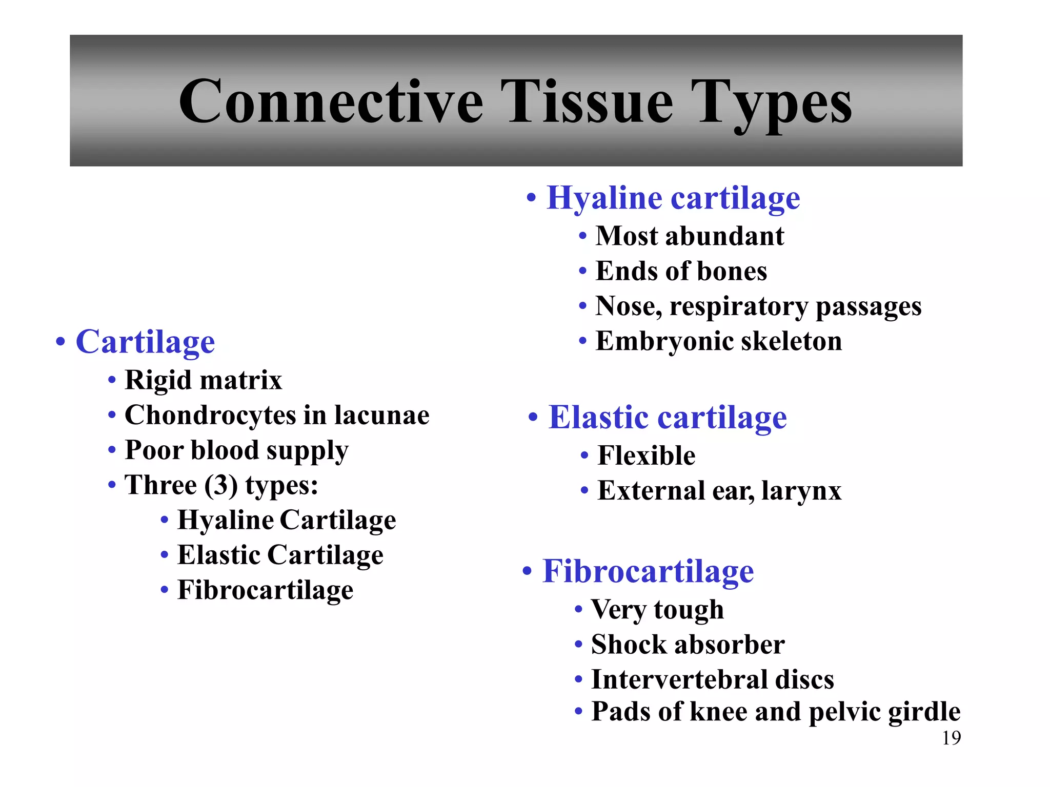Tissue Types.pptx