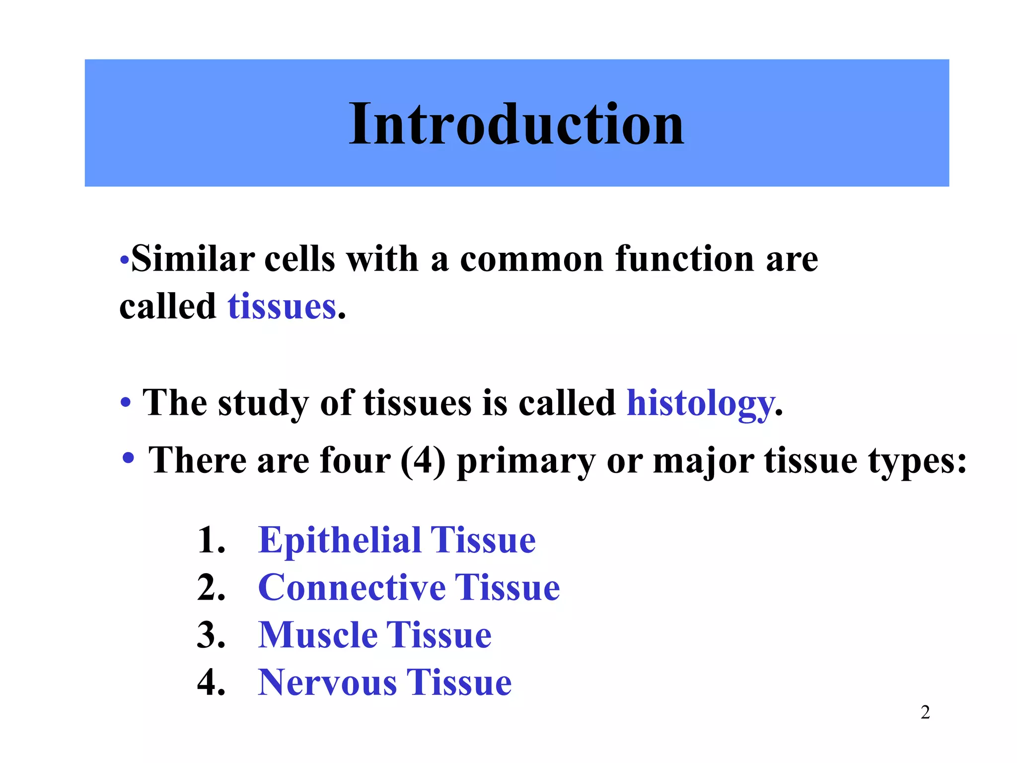 Tissue Types.pptx