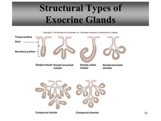 Tissue Types.pptx