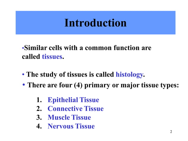 Tissue Types.pptx