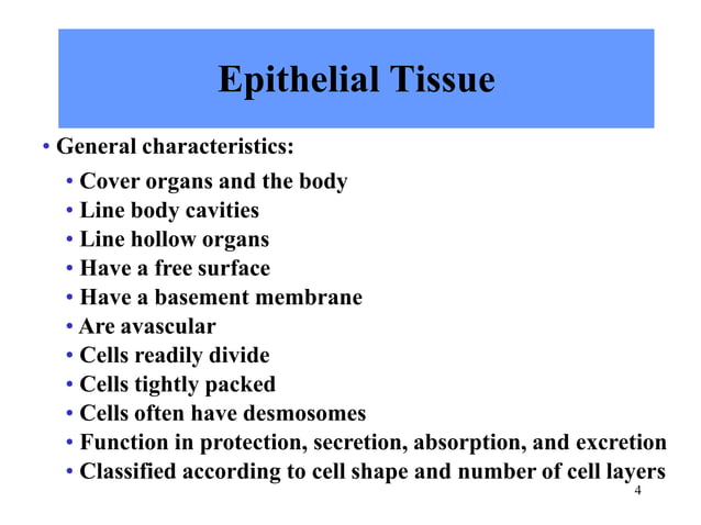 Tissue Types.pptx