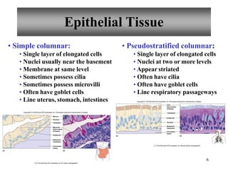Tissue Types.pptx