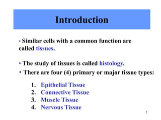 Tissue Types.pdf