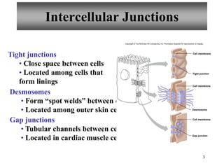 Tissue Types.pdf