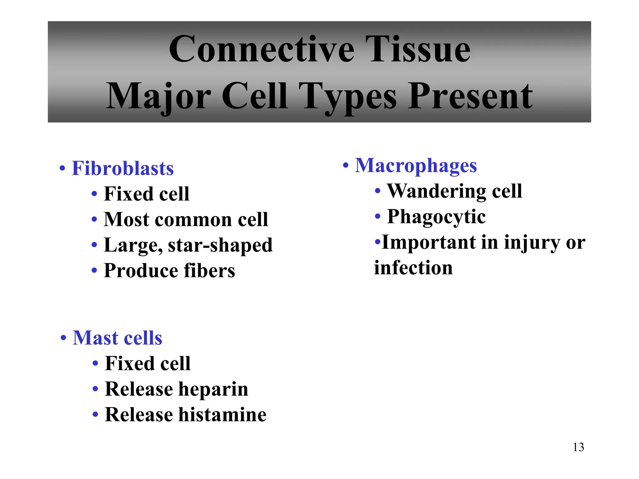 Cell theory documents for the kids presentation | PPTX