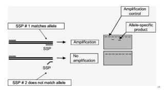 TISSUE TYPING .pptx
