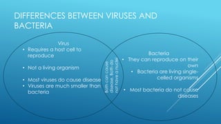 Bacteria and Viruses | PPTX