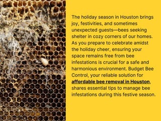 Tis the Season to Bee Careful Houston’s Tips for Managing Bee ...