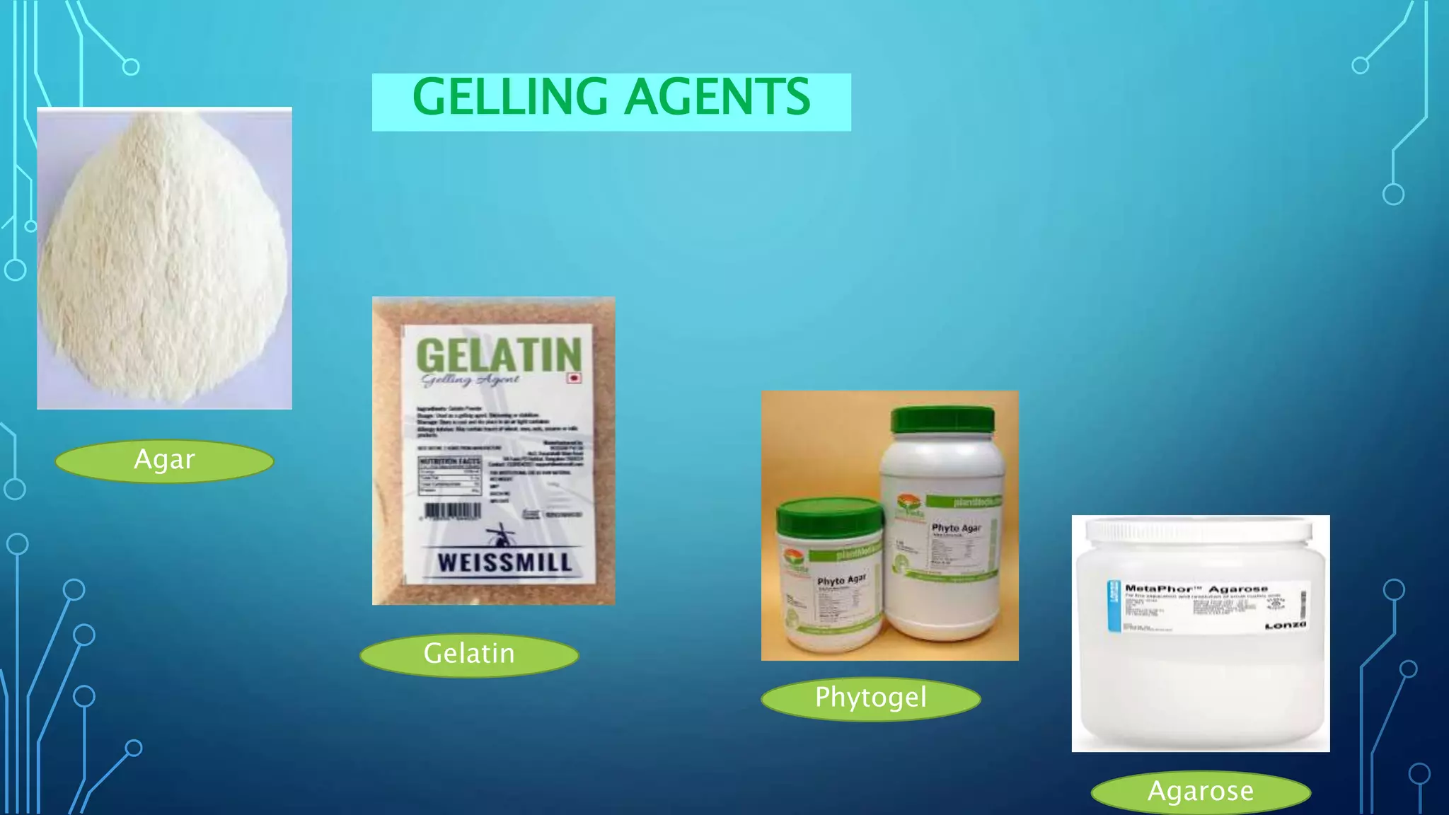 Tissue culture basic techniques | PPTX