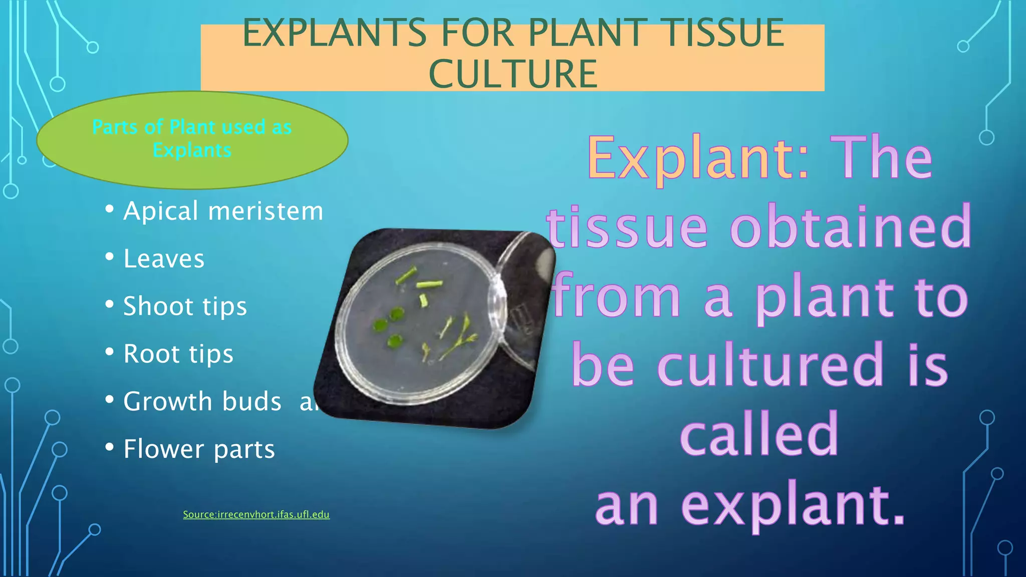 Tissue culture basic techniques | PPTX