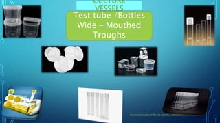 Tissue culture basic techniques | PPTX
