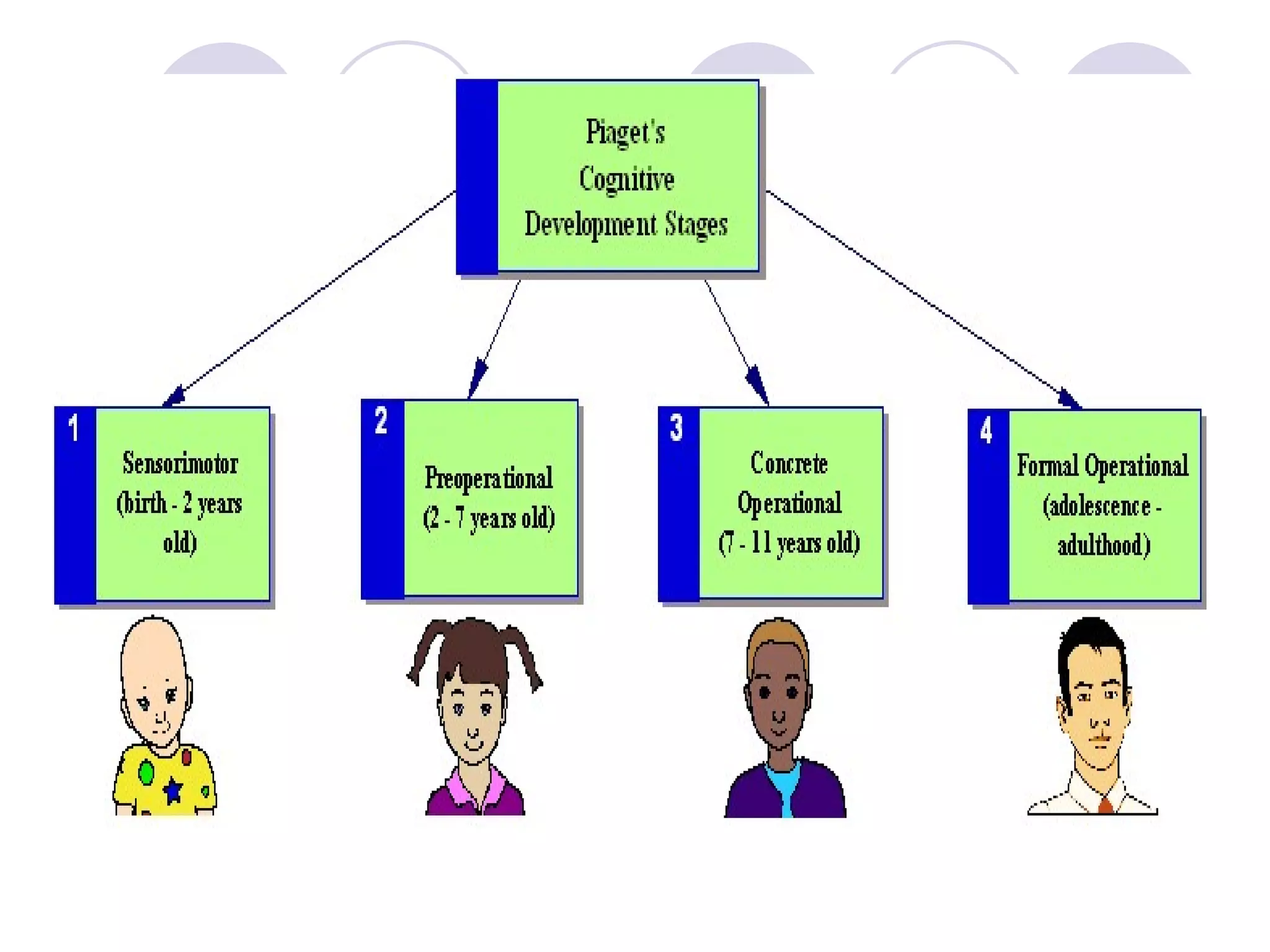 Components of Human Development | PPT