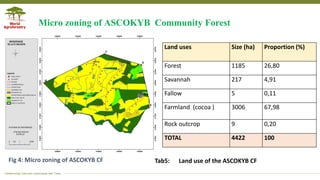 Tita Foundjem CF in cocoa landscapes 02042024.pdf