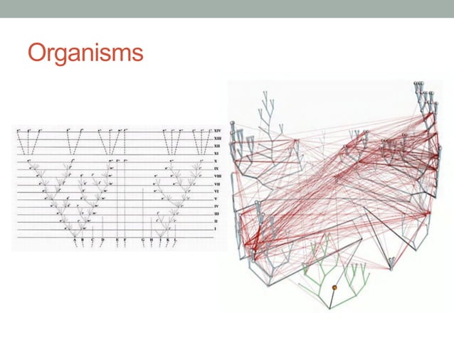 Intro To Graph Databases Using Tinkerpop Titandb And Gremlin Ppt