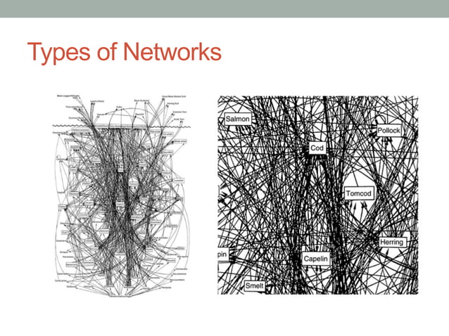 Intro To Graph Databases Using Tinkerpop Titandb And Gremlin 