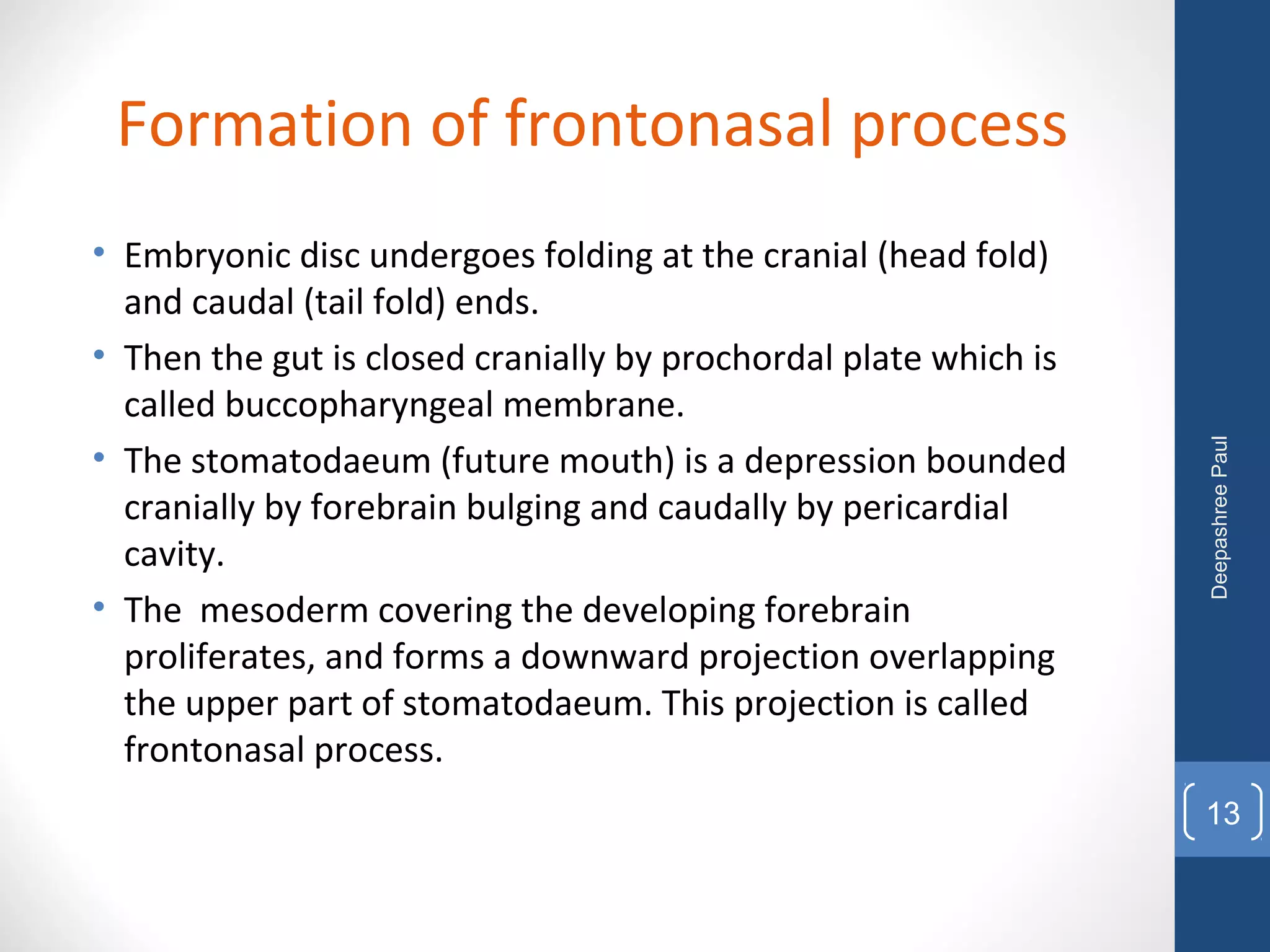 Development of face | PPT