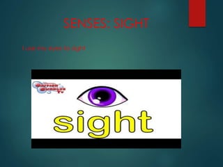 FIVE SENSES | PPT
