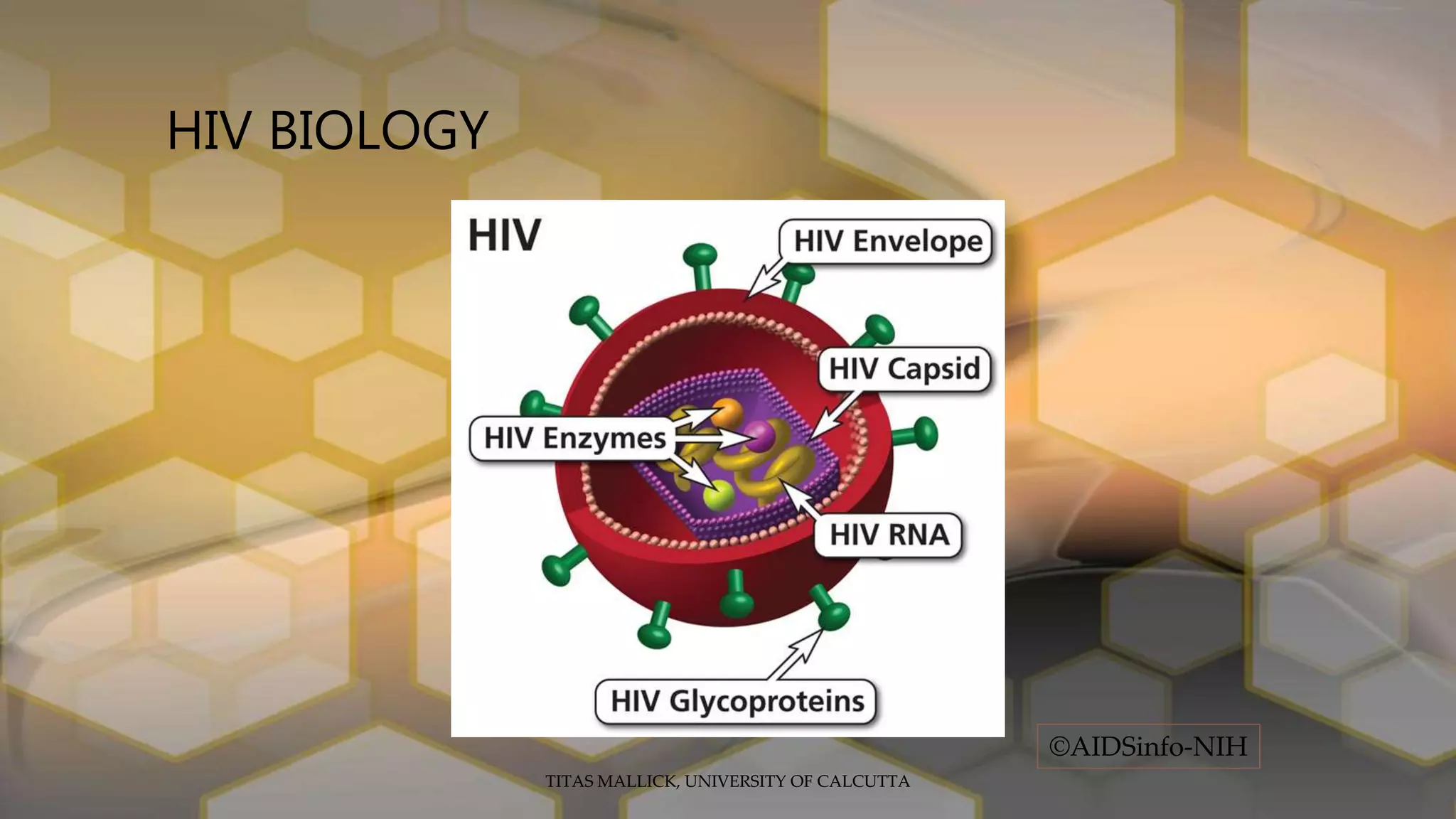 HIV biology and isolation of RT inhibitor from plant | PPT