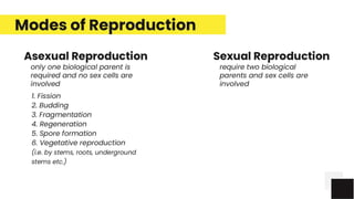 Reproduction | PPT