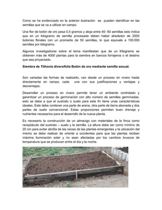 Tithonia diversifolia | PDF