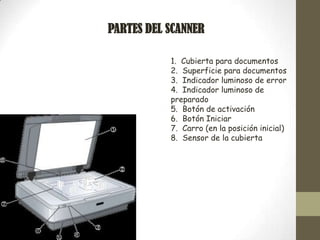 Titi el scanner | PPT