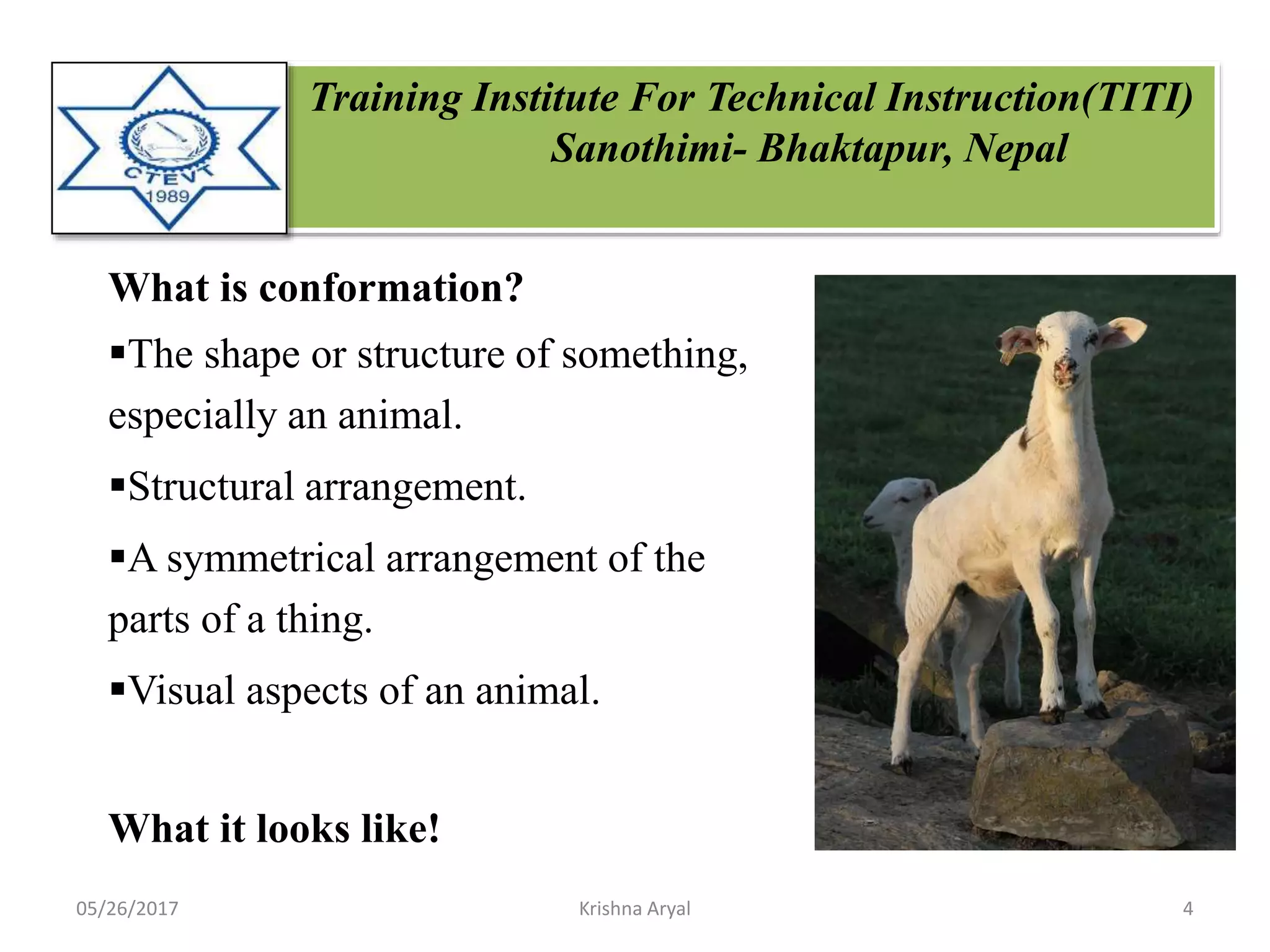 Ruminant Production( Body conformation) | PPTX
