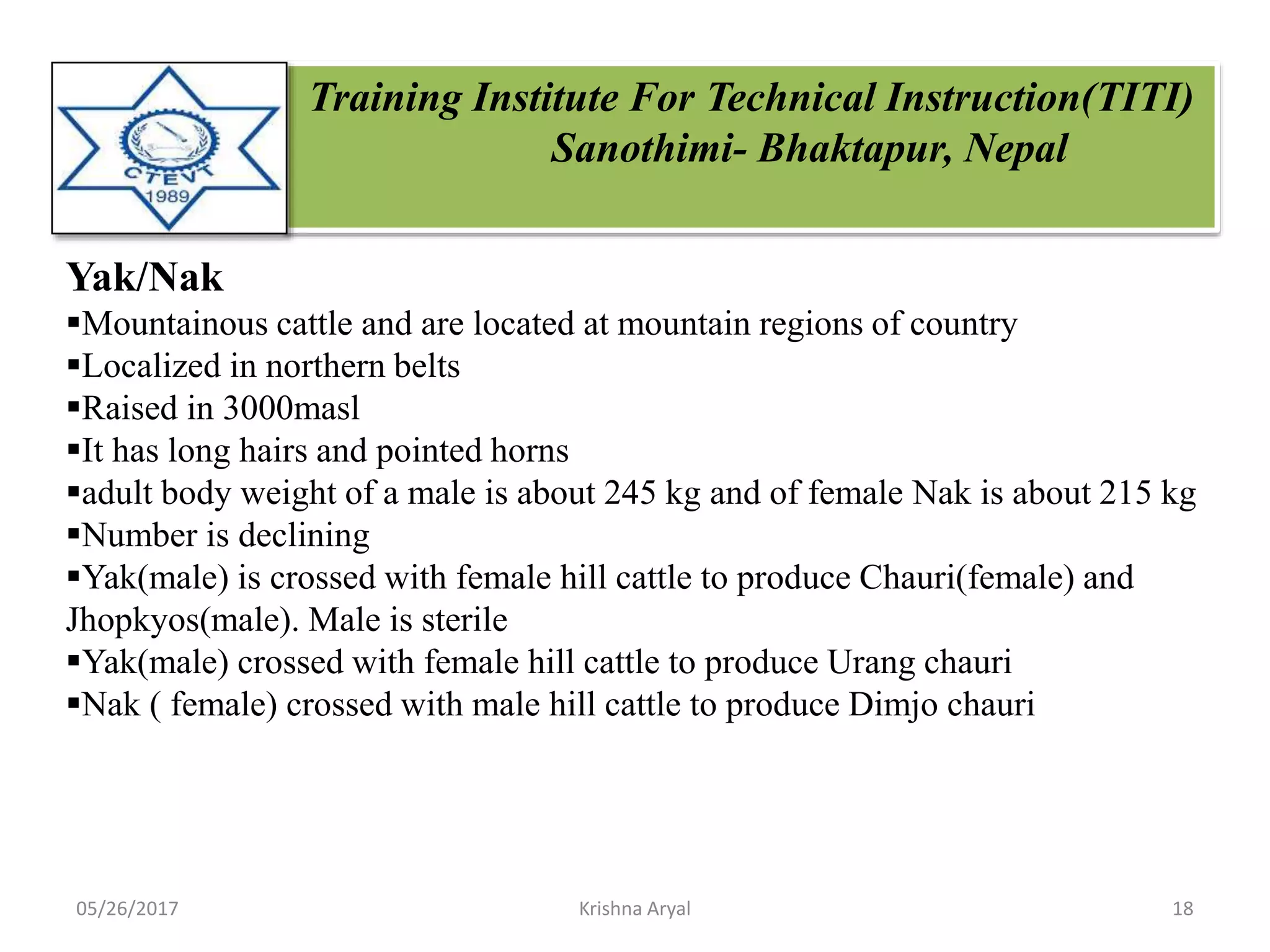 Ruminant Production( cattle production) | PPTX