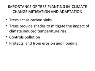 The Role of Gender in Tree Planting Initiative and Climate Change ...
