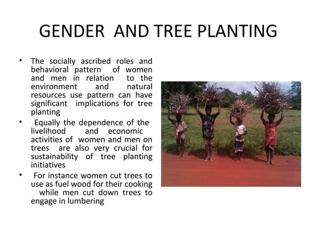 The Role of Gender in Tree Planting Initiative and Climate Change ...
