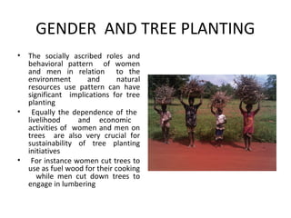 The Role of Gender in Tree Planting Initiative and Climate Change Res…