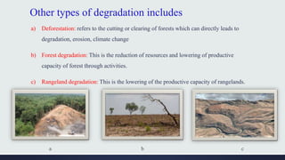 Title-Role of forestry in restoration of degraded lands.pptx