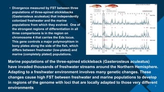 genetic Divergence between population.pptx