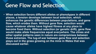 genetic Divergence between population.pptx