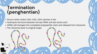 Detailed Overview of Polypeptide Chain Initiation, Elongation, and ...