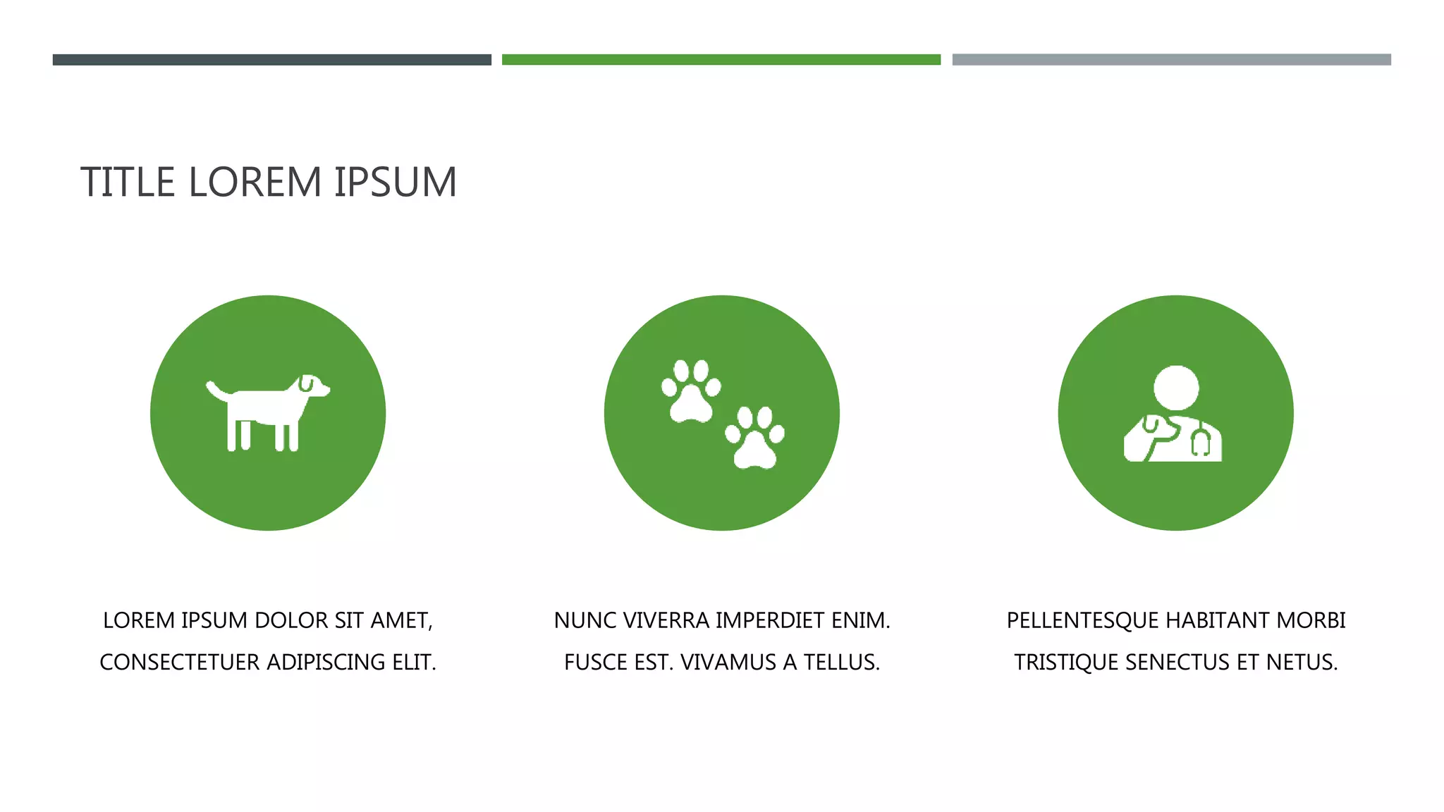 Title Lorem Ipsum.pptx